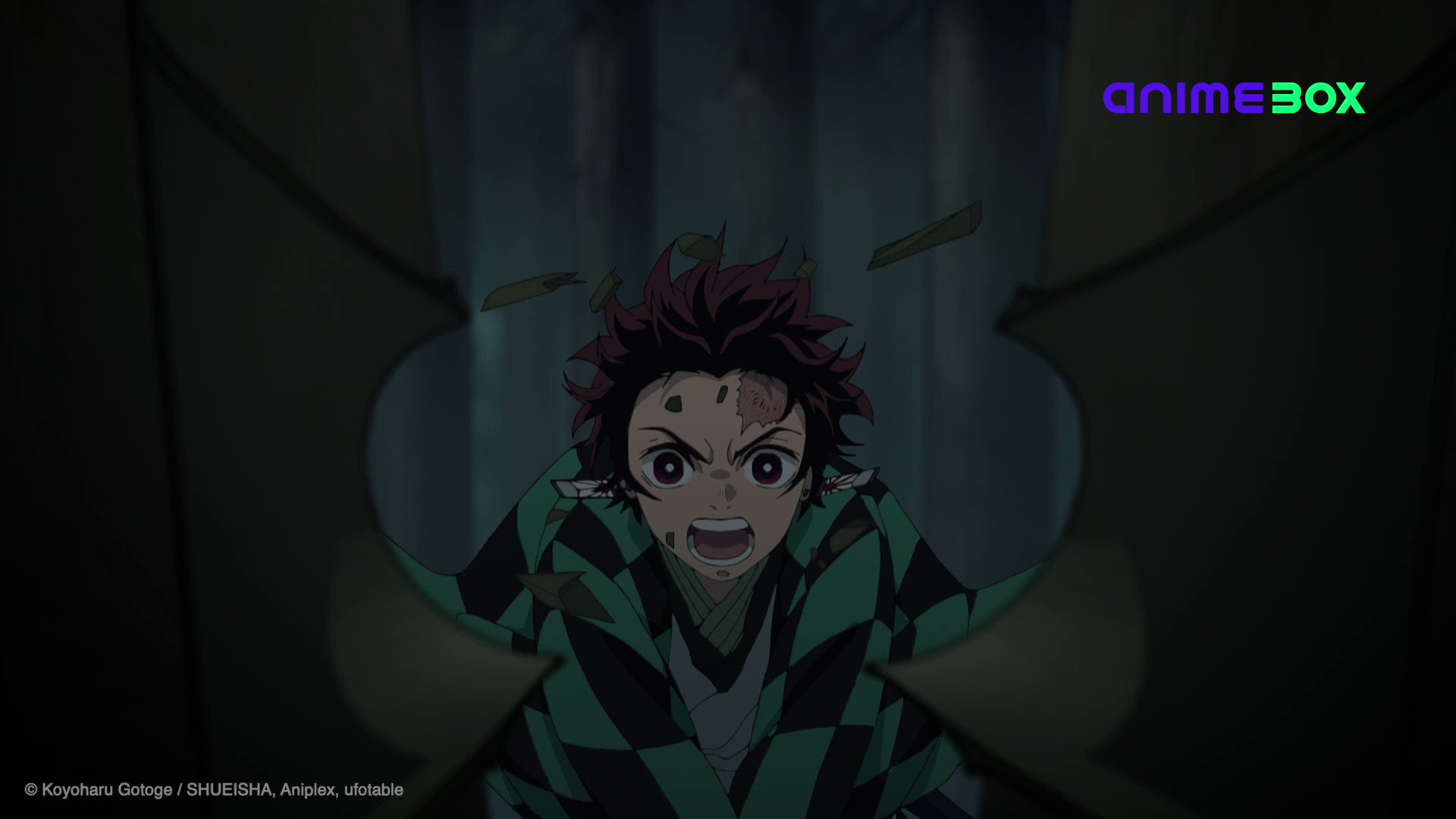 AnimeBox on Twitter: "¡Esta primavera llega AnimeBox! Tu nueva forma de ...