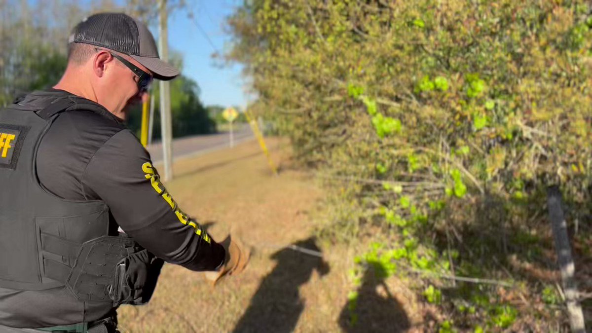 Pasco Sheriff on Twitter: Pasco Sheriff on Twitter:
