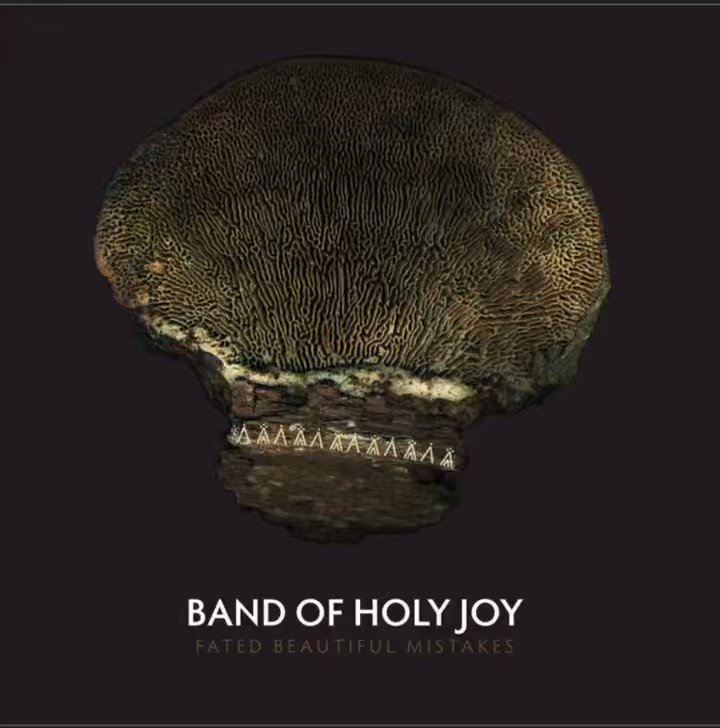 Band Of Holy Joy (@BandOfHolyJoy) / Twitter