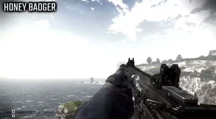 Cod Ghosts Honey Badger