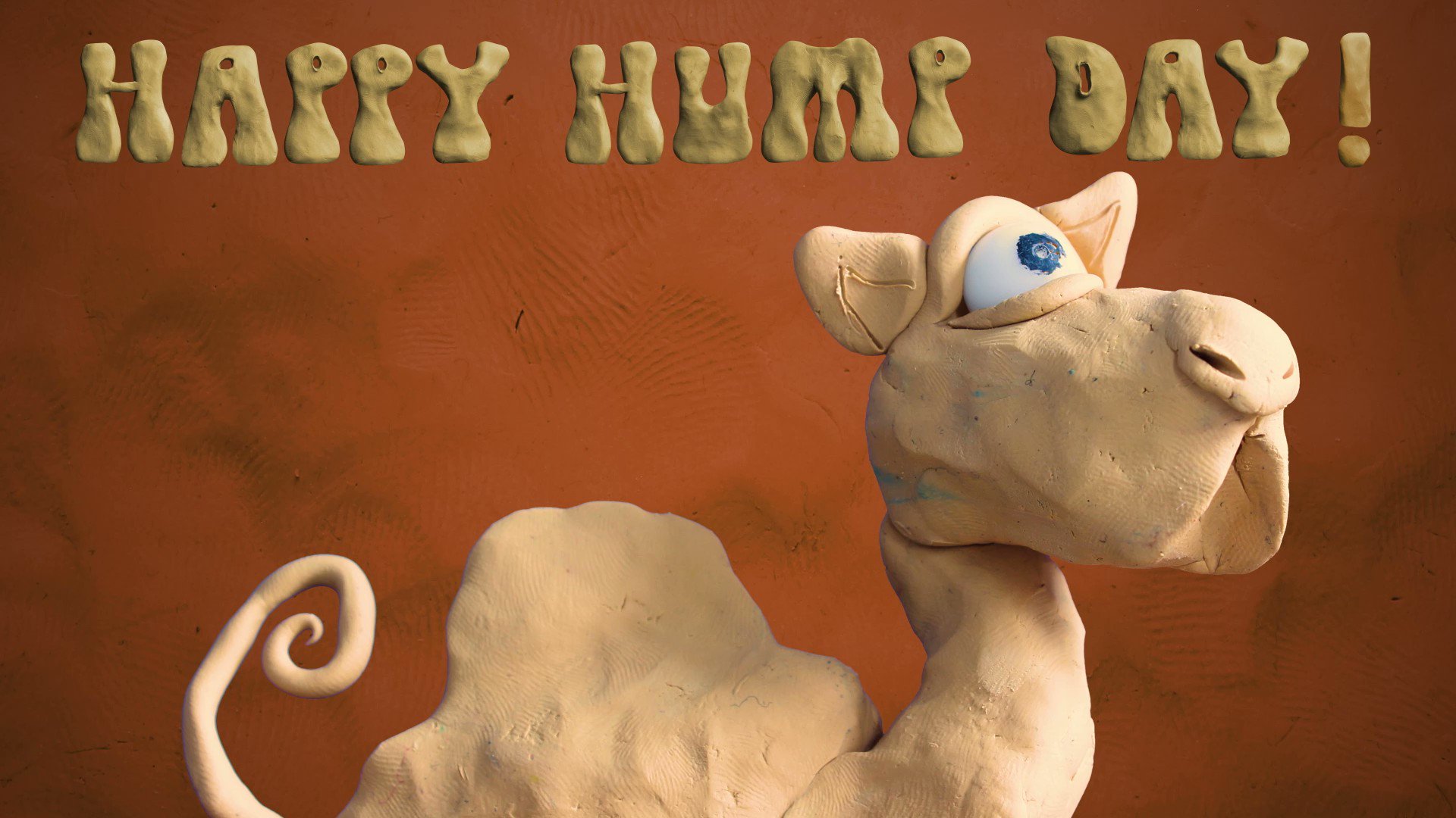 Geico Camel Animated