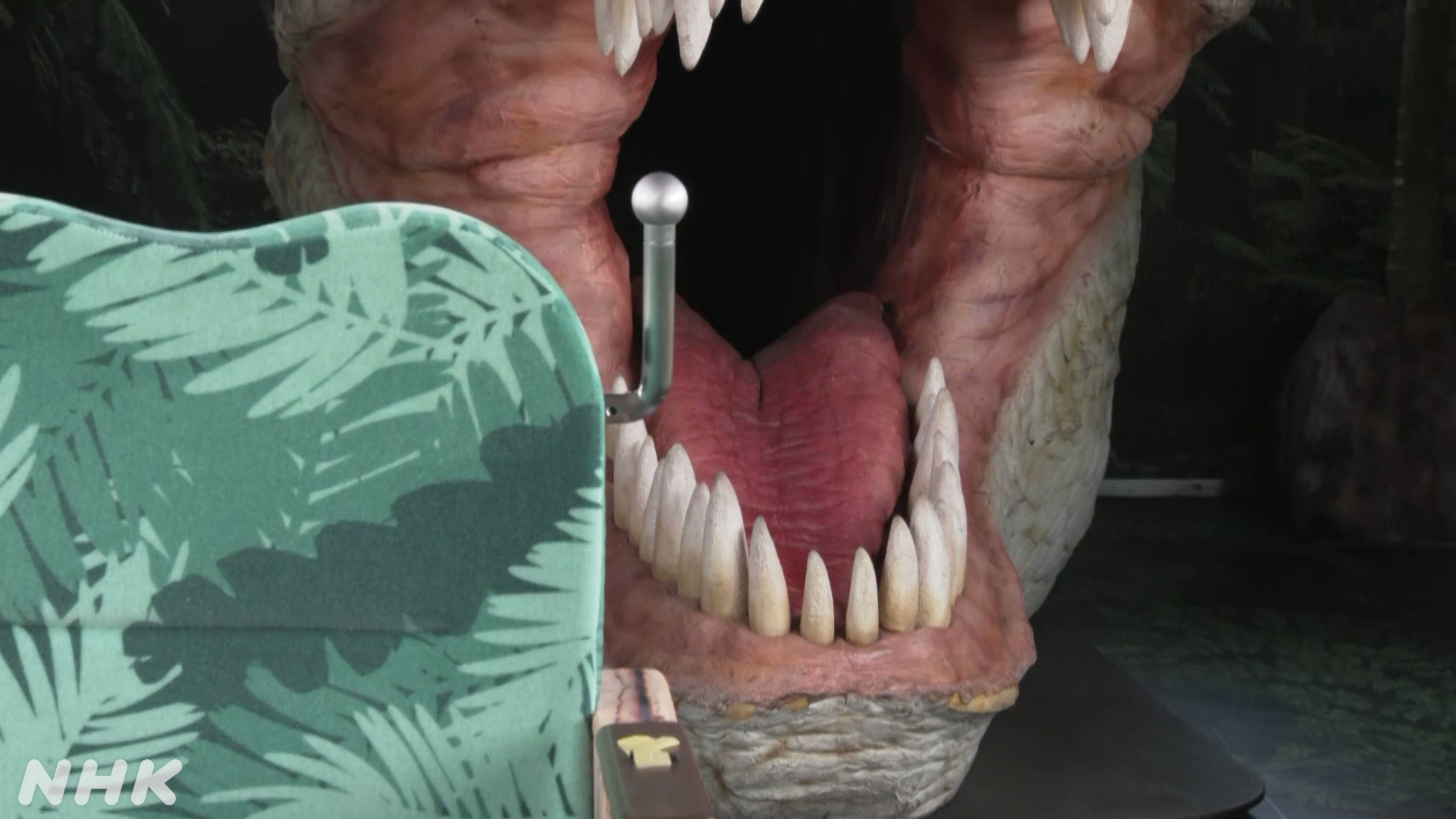 @Local_jp/170_HOKURIKU_NHK / Twitter