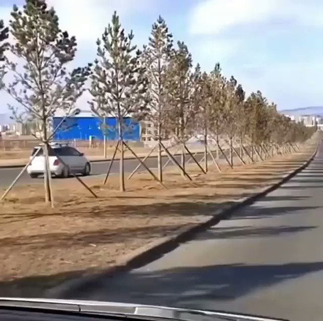 АЛТАН УРАГ On Twitter Rt Jamtsusukhbayar Ээ хүүдий хаа хүрэхээр