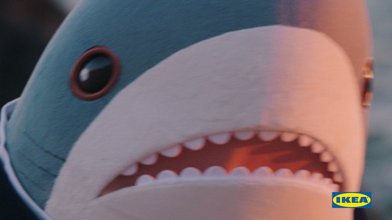 Ikea Shark Plush Meme Online Here | www.oceanproperty.co.th Ikea Shark Plush Meme Online Here | www.oceanproperty.co.th