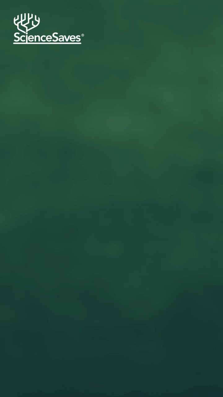 ScienceSaves (@ScienceSavesOrg) / Twitter