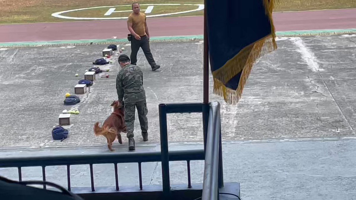 zyann ambrosio on Twitter: "NOW: PNP-EOD K9 Group shows off the skills of their K9 dogs in their ...