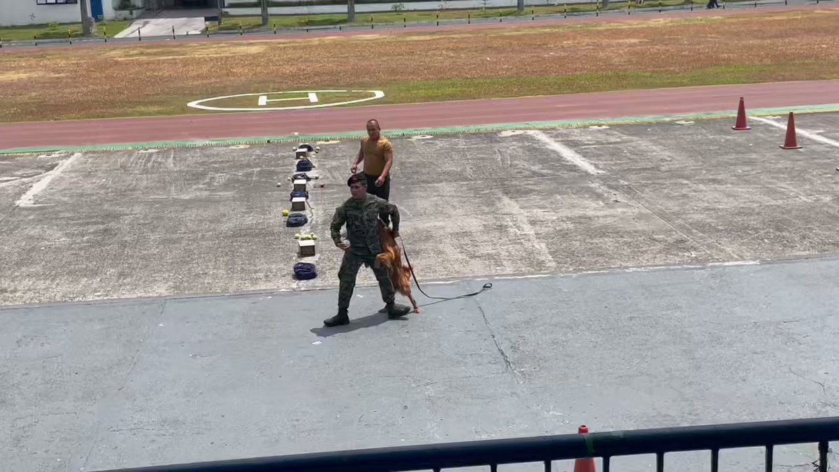zyann ambrosio on Twitter: "441 police service dogs ang kasalukuyang naka-deploy na ngayong ...