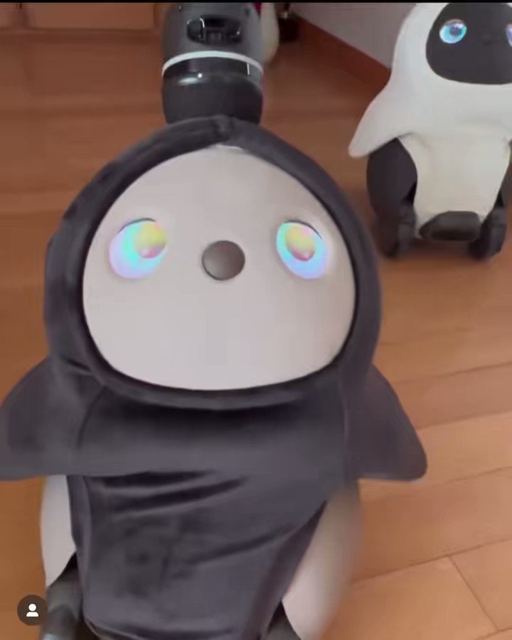 Tania on Twitter: "Necesito $20mil para ir a Japón, comprar 2 Lovot con ropita, gadgets, darme ...