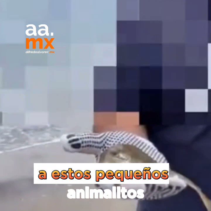 Christian On Twitter Rt Alfredoalvarezz Cientos De Rayas Son