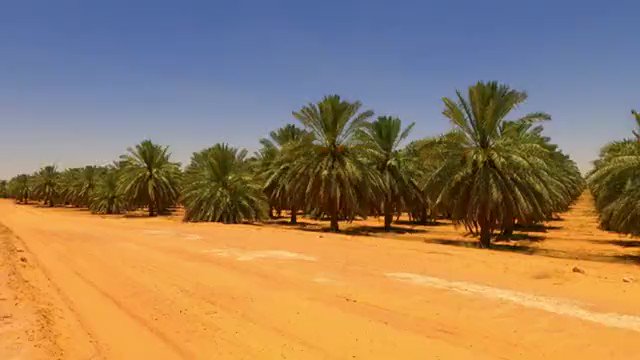 Commander Ashok Bijalwan 🇮🇳 On Twitter This Is The Garden Of Al Rajhi