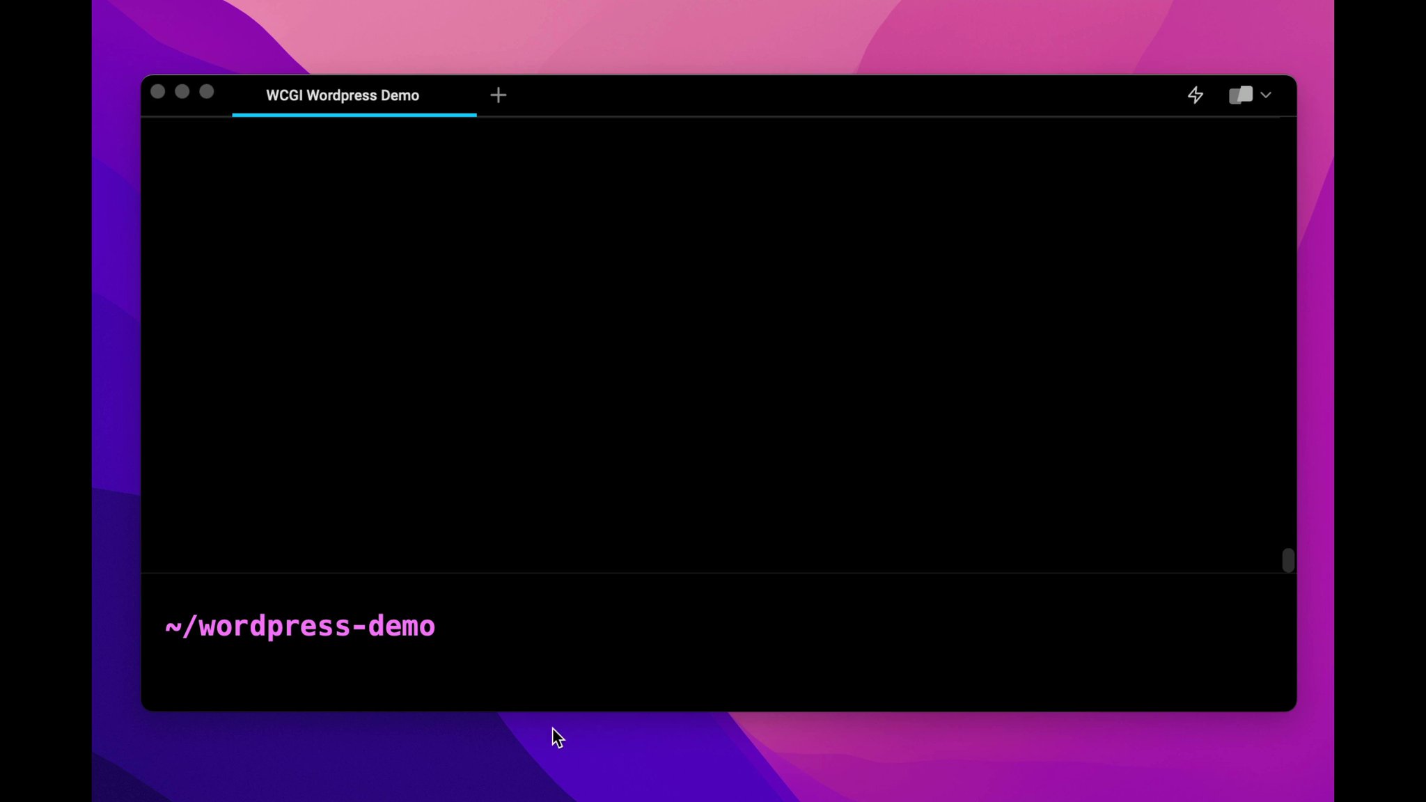 Wasmer on Twitter: "Today we are incredibly excited to announce WCGI. WCGI allows running any ...