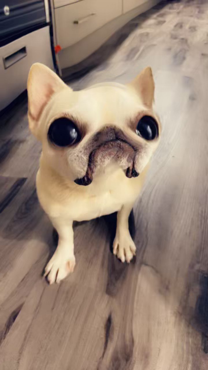 LoLotus 🪷 | SOULSTUBER (@LoLotusVT) / Twitter