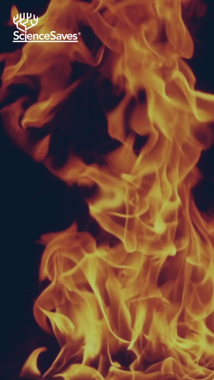 ScienceSaves (@ScienceSavesOrg) / Twitter