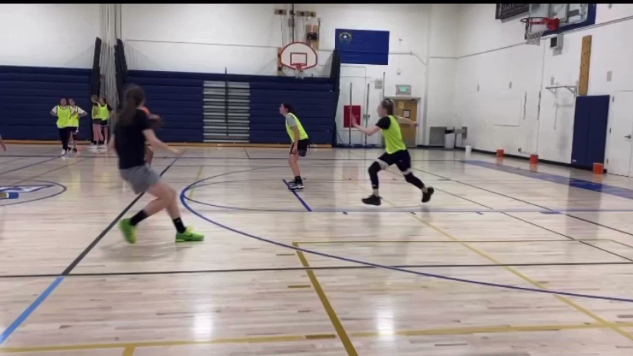 Next Level Hoops (@NLHoopsReno) / Twitter