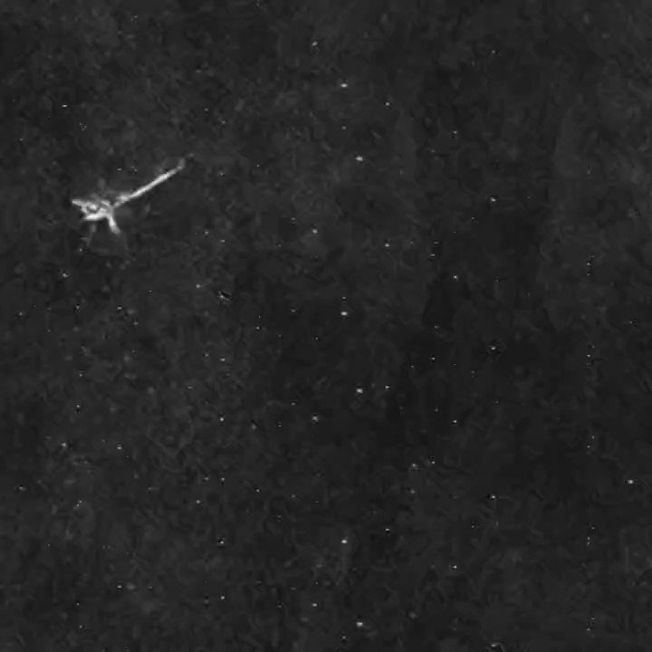 Mischievous Monkeys on Twitter: "It's Monkeys Overrule! Monkeys were known for their mischief ...