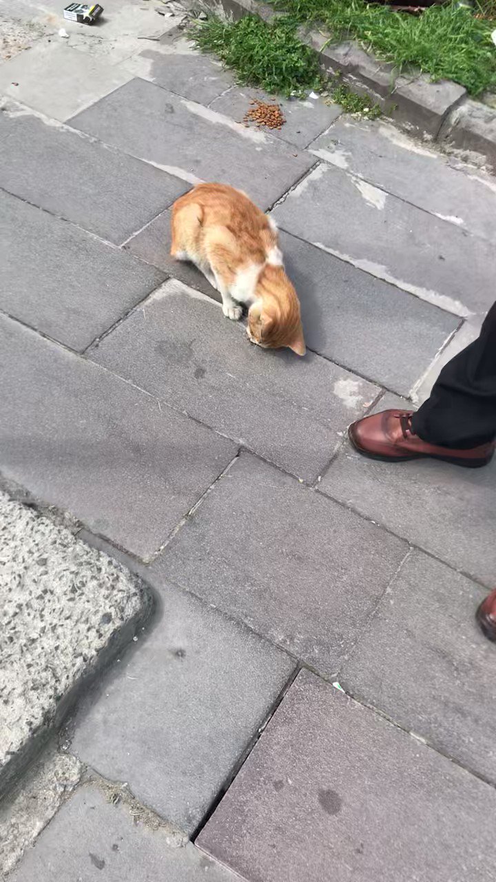 Badiko (@Badiko_) / Twitter