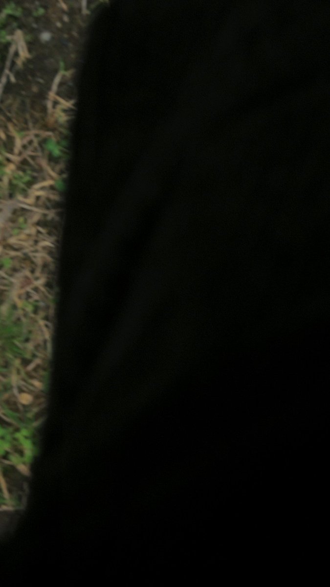 Niantic on Twitter: "The hunt is on. “Monster Hunter Now” launches September 2023. @MH_Now_En ...