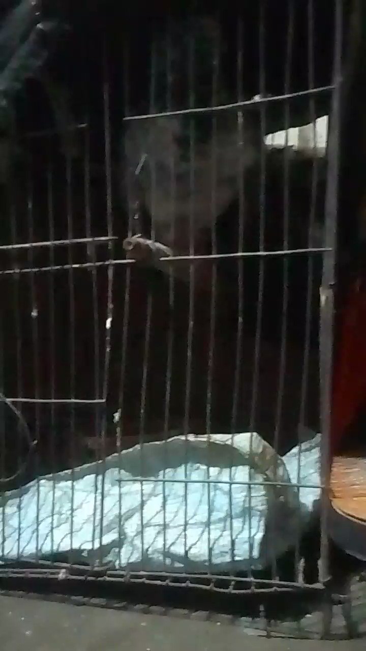 Rumon Miah (@RumonMiah15) / Twitter