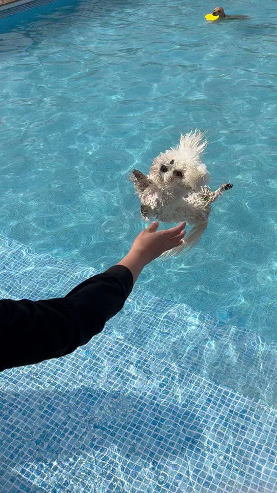 Sweety🍐 甜梨 On Twitter 謝謝推友提醒,huobi可以生成多個充值地址~~