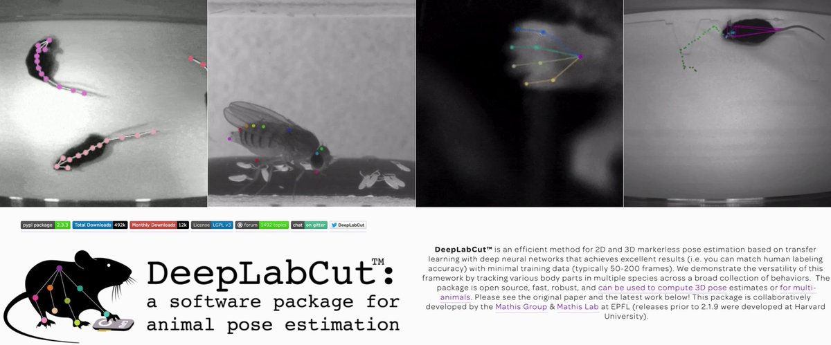 Mackenzie Mathis, PhD on Twitter: "RT @DeepLabCut: 🌎 Home Page: http://deeplabcut.org 📚Docs ...