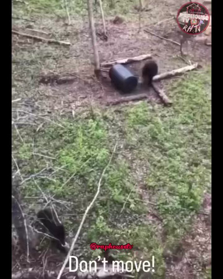 Raphousetv Rhtv On Twitter Rt Raphousereloded Wyd In This Situation 🤔😰