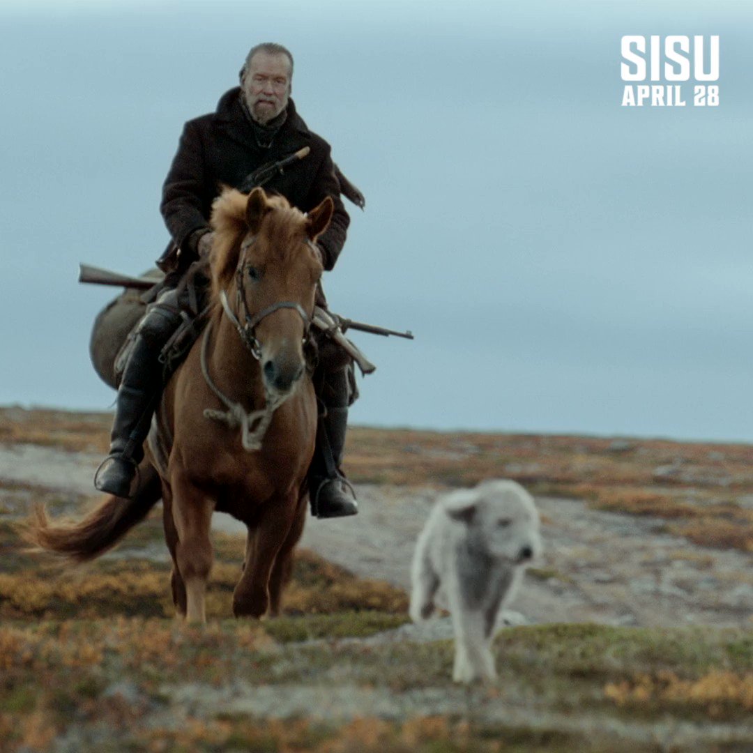 lionsgate on Twitter: "the studio that brought you John Wick understands the importance of this ...