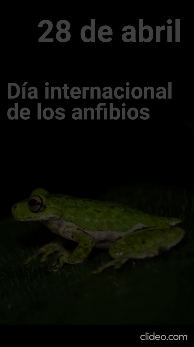 IPN on Twitter: "#CienciaIPN | En el Día Internacional de los Anfibios🐸 ...
