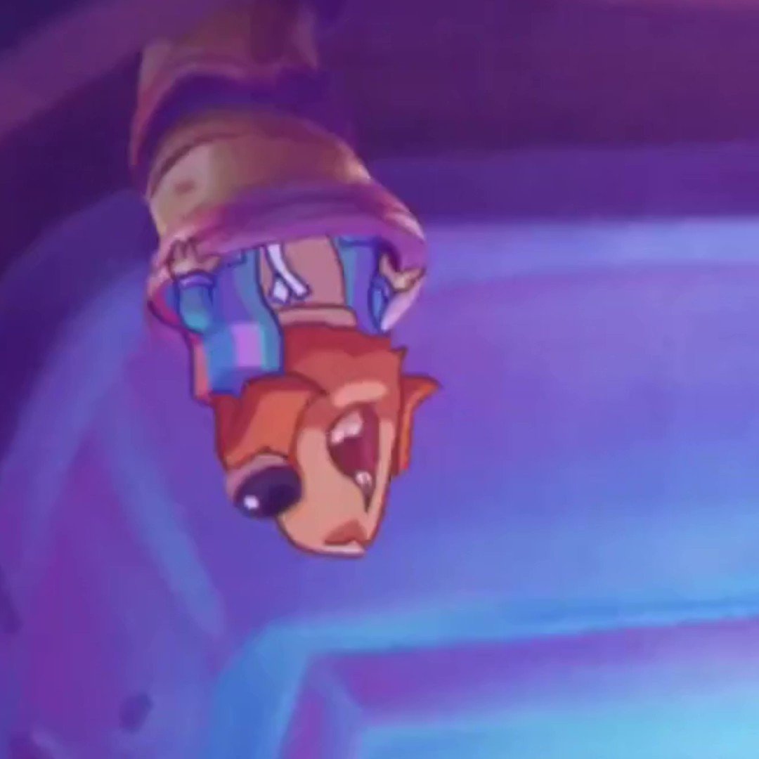 Guinea Pig Parkour on Twitter: Guinea Pig Parkour on Twitter: