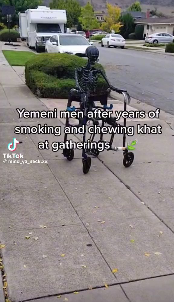 diala🇦🇪🇺🇸 (@diala_alsaleh) / Twitter