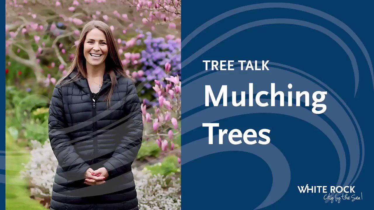 City Of White Rock On Twitter Our City Tree Expert Is Back With