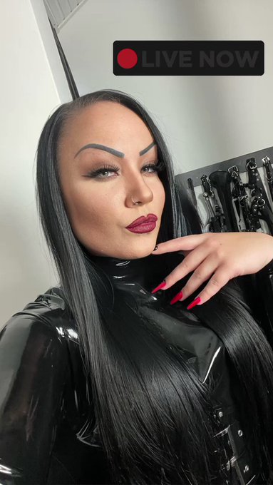 Tw Pornstars ðmiss Shiny Queen ð Pictures And Videos From Twitter