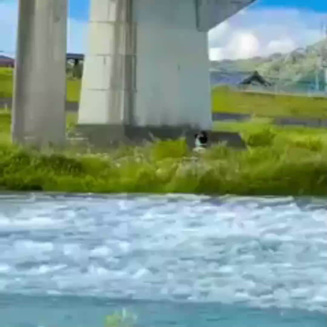 BOKEP BUGIL PORN EROTIS IS PHARYNGITIS VIRAL (@zen_bokep) / Twitter