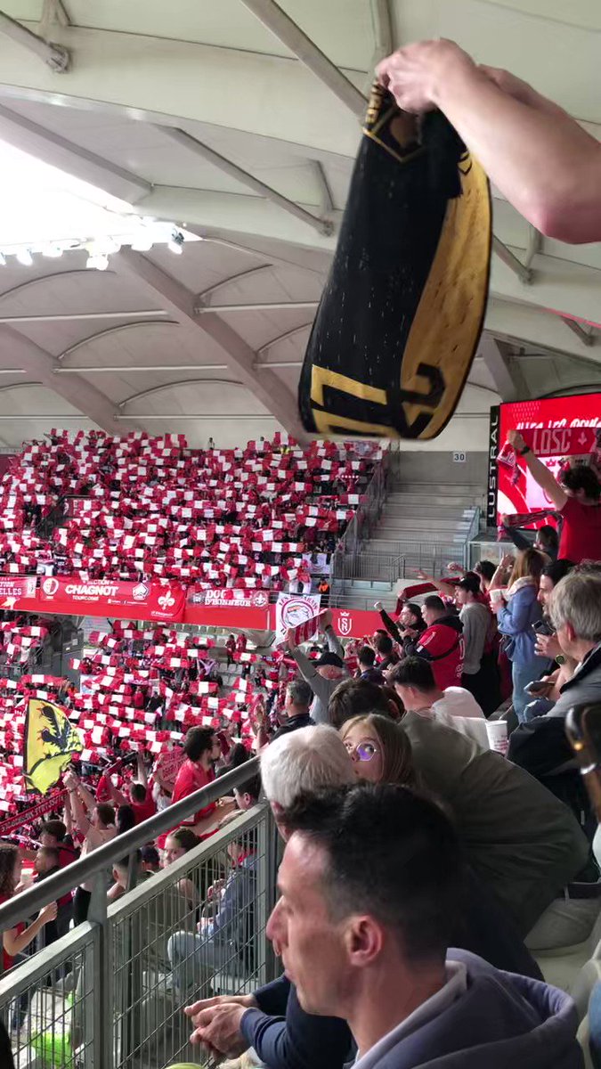 Au Stade Lillois ⚜️🚩 on Twitter: Au Stade Lillois ⚜️🚩 on Twitter: