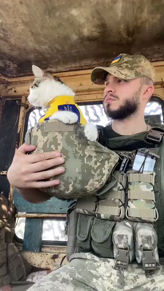 Генеральний штаб ЗСУ On Twitter Гарного та тихого недільного вечора