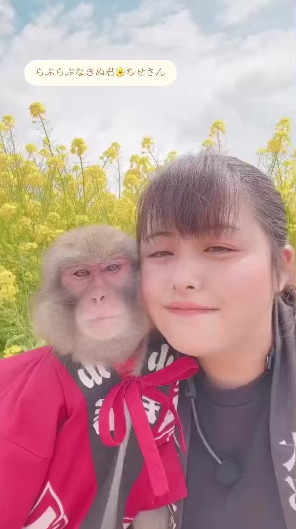 Hello!OHANA (@helloohana_) / Twitter