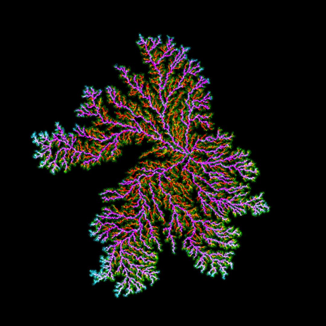 arsiliath on Twitter: "new course Agent Simulation with WebGPU Compute Shaders june 1 + https ...