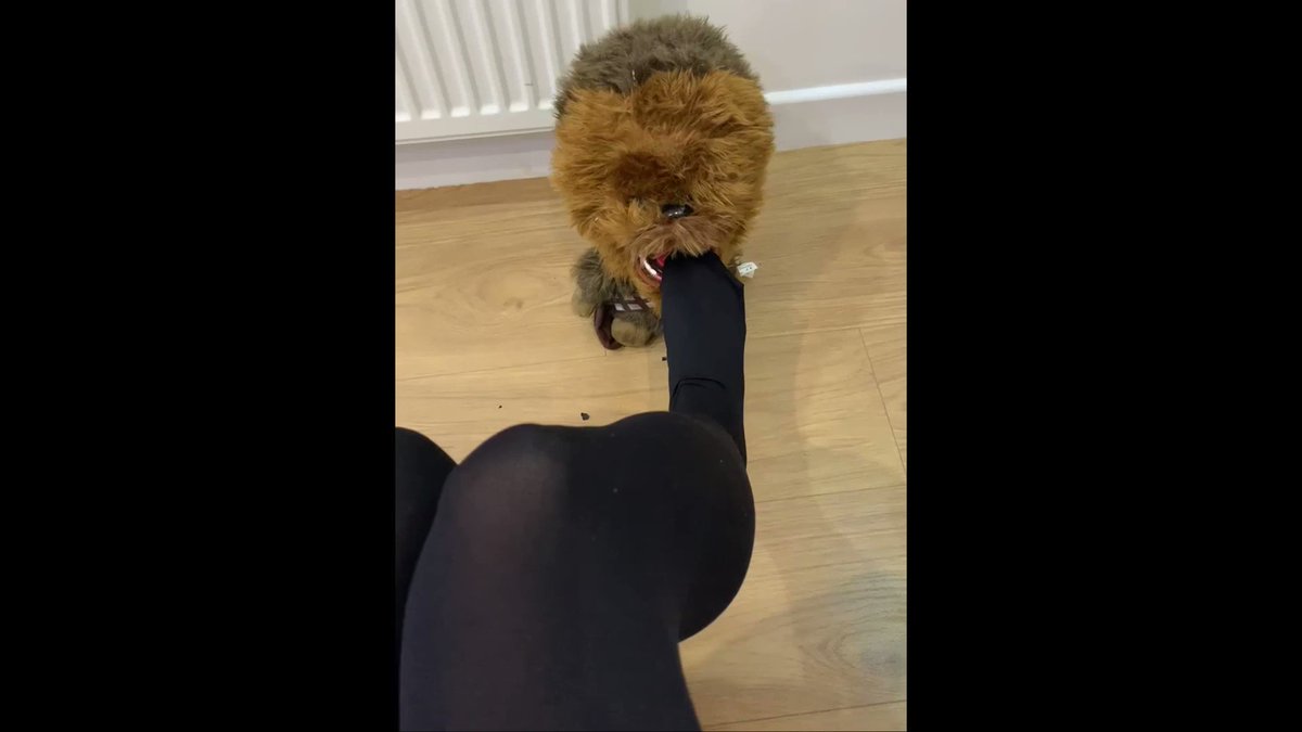 L-u-c-y on Twitter: "RT @Mistress__Lucy: Cry wookie, cry! You will learn to worship your superiors!"