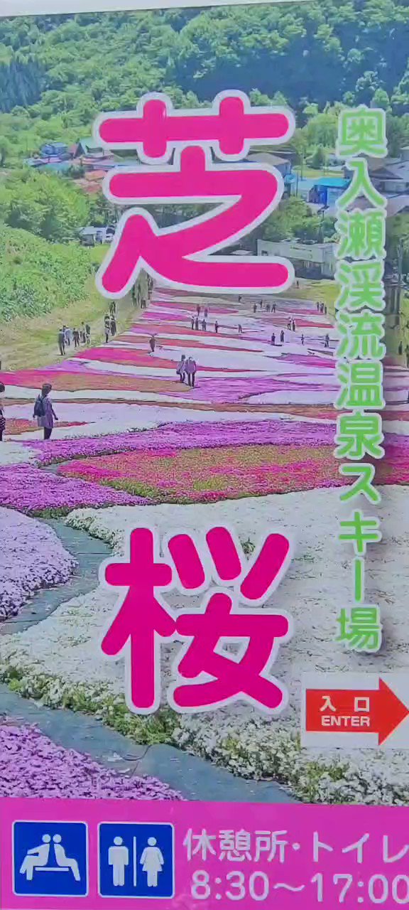 りんごちゃん【公式】 On Twitter 芝桜が見頃です🌸 3日前の雪が積もった動画と、 2日前の芝桜が顔を出した動画。 青森 十和田 奥入瀬 芝桜