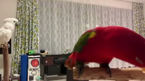 Hideaki Utsumi on Twitter: "RT @MireGoji99: @hideaki_utsumi これは私の一番好きな音です"