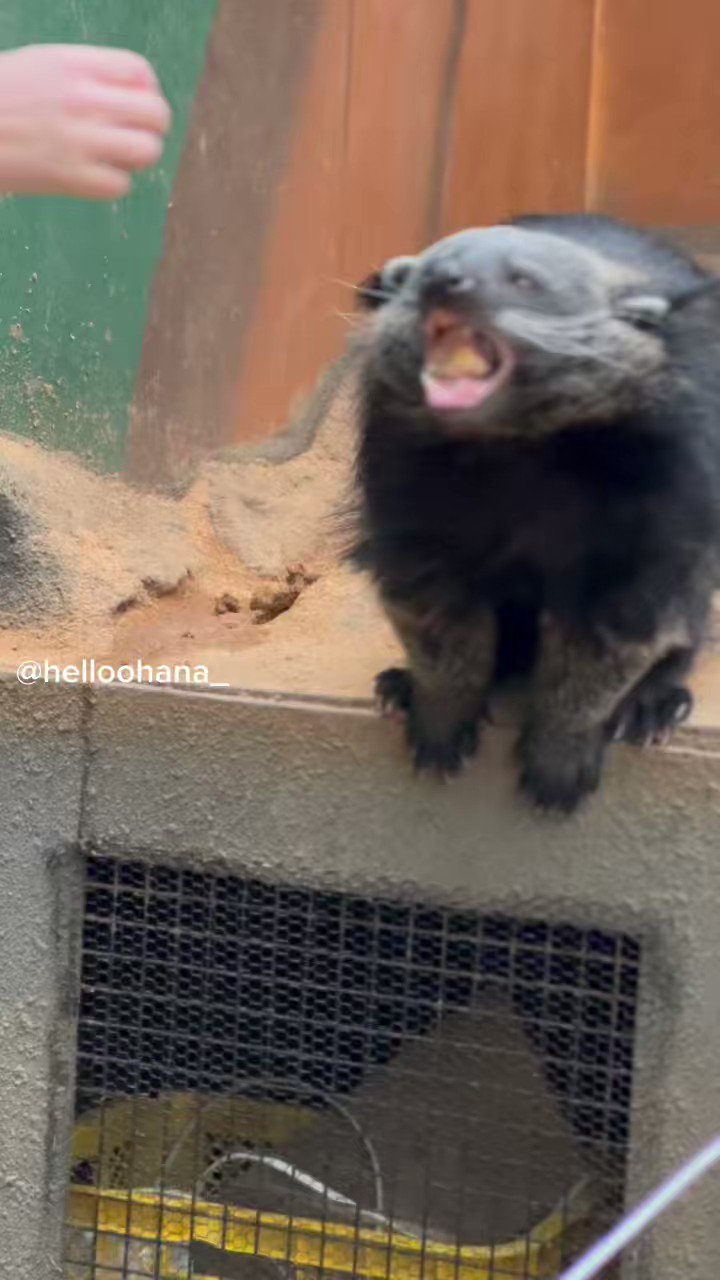 Hello!OHANA (@helloohana_) / Twitter