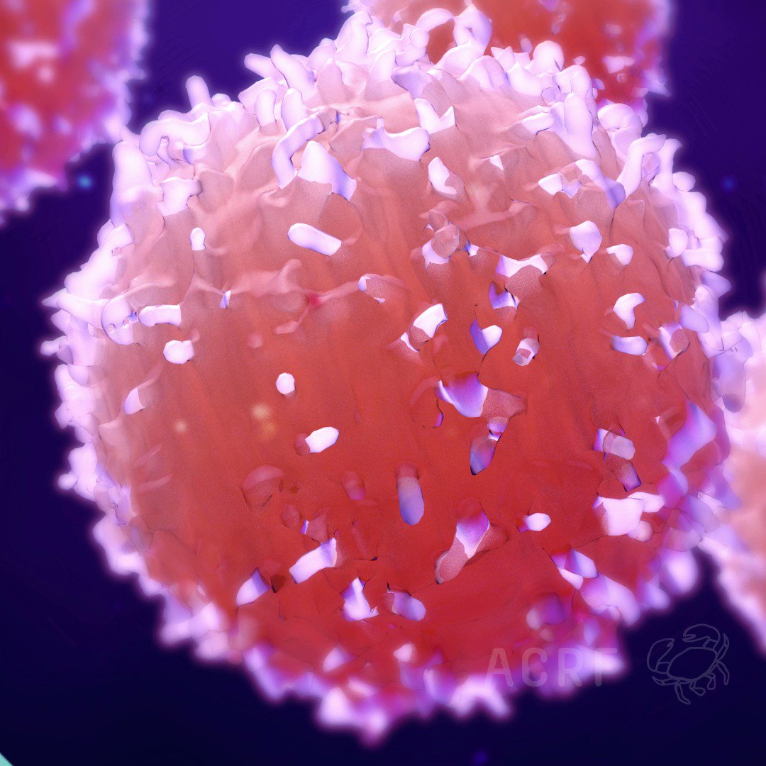 Australian Cancer Research Foundation On Twitter Without The australian-cancer-research-foundation-on-twitter-without-the