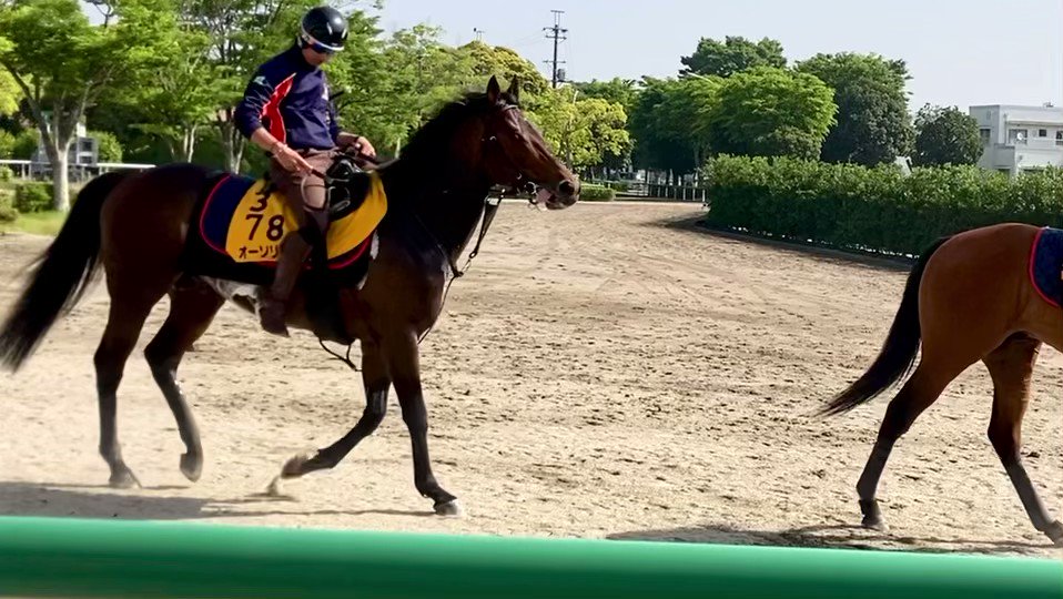 和田稔夫 Toshio Wada 🏇 週刊gallop･サンスポ･夕刊フジ On Twitter お帰りなさいのオーソリティ🐴 去年の宝塚