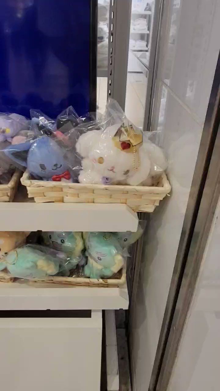 健太(栃木JAM) (@KENTA_GttT) / Twitter