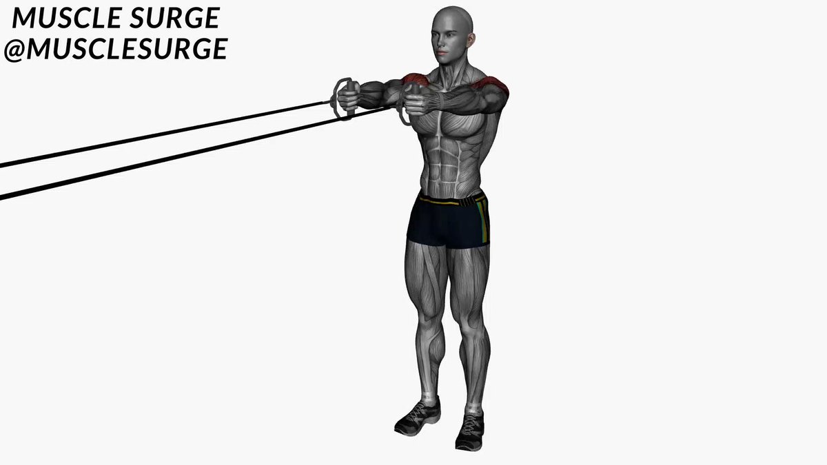 Thread By MUSCLESURGE On Thread Reader App Thread Reader App thread-by-musclesurge-on-thread-reader-app-thread-reader-app