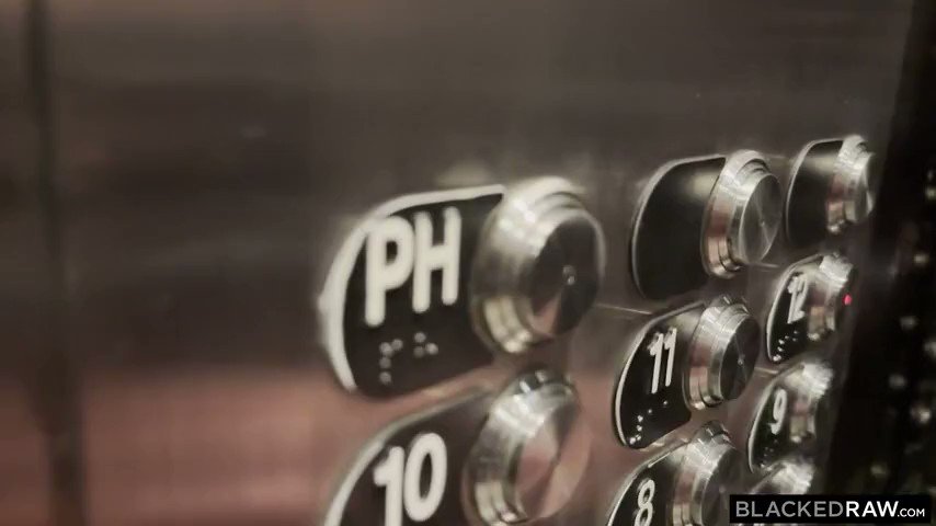 blacked top on Twitter: "🔝#PROMO | "Cabin Fever" @AmberMooreXXX (directed by KGB) https://t.co ...