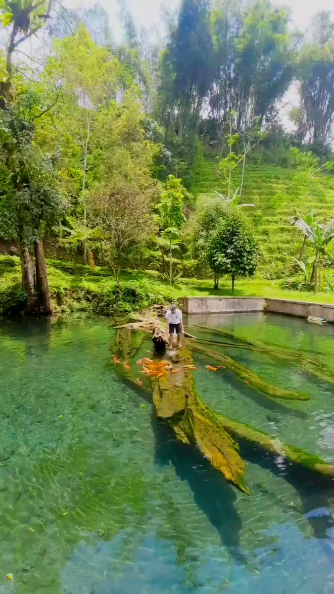 Merapi Uncover on Twitter: Merapi Uncover on Twitter: