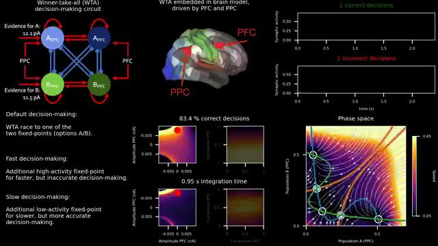 Alessandro Crimi 🧠🧬🔬🩺(@AlexCrimi@mstdn.social) on Twitter: "#brain stuff "Learning how network ...