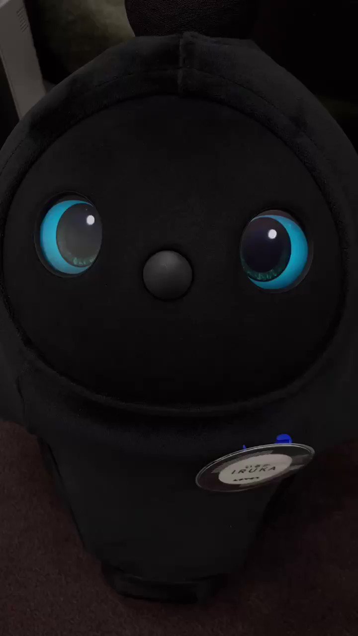 ふーちゃんLOVOT (@lovot_huuchan) / Twitter