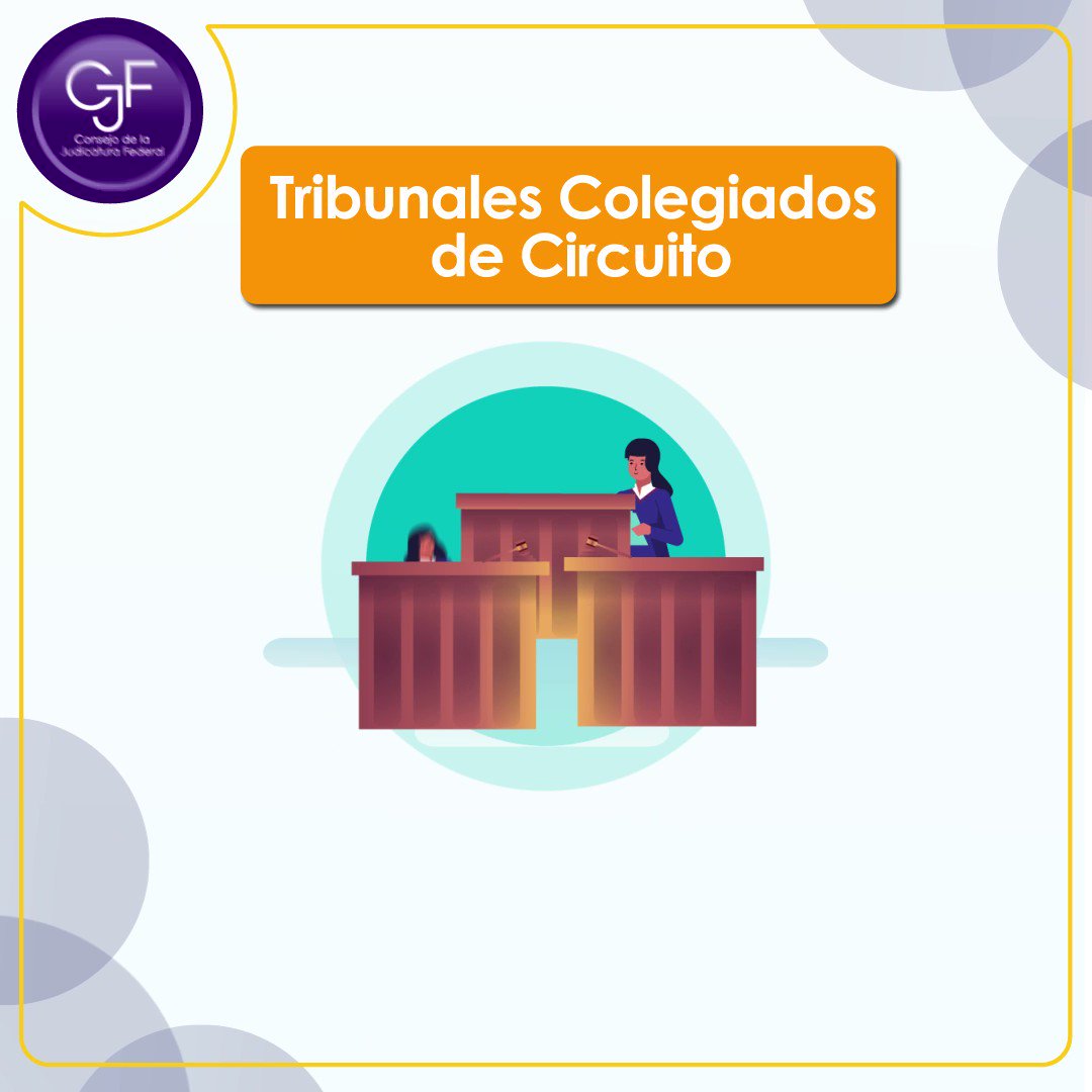 Cjf On Twitter Cjfdigital Los Tribunales Colegiados De Circuito Se