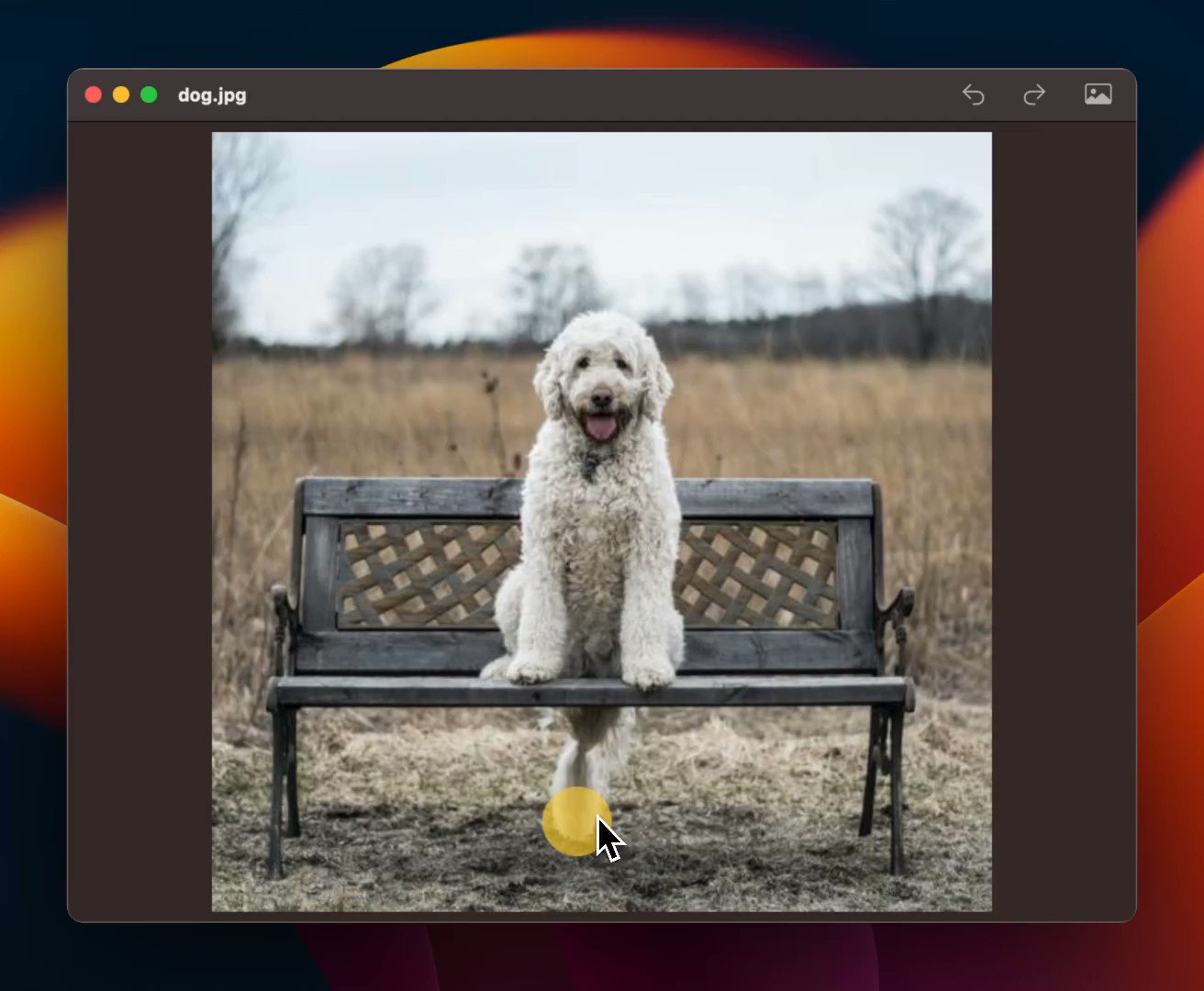 Sanster On Twitter With Absolutely No Experience In Swift I Was Able To Accomplish This With